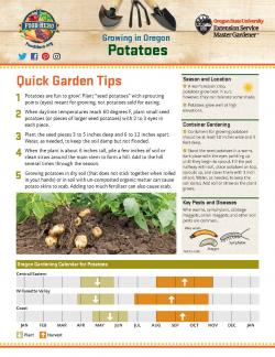 Potatoes - seed packet | Food Hero